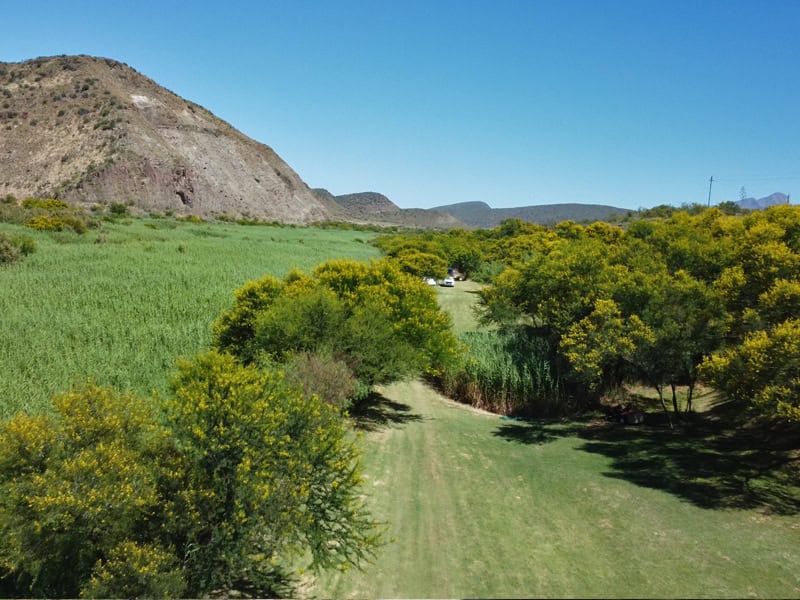 Karoo Bush Camp Van Wyksdorp - Bushwakka Africa